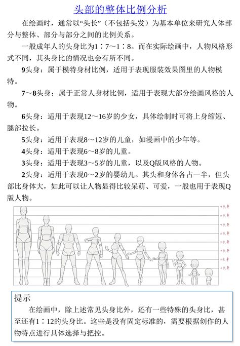 2000 头部比例结构教程大佬同款萌新必备 哔哩哔哩