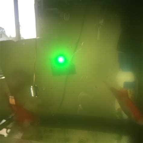 Training Fish To Feed Themselves
