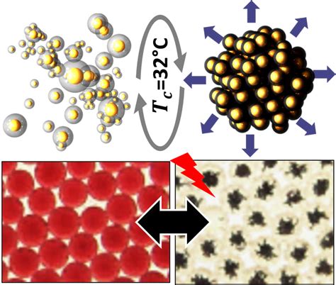 Soft Nanomachines Nanophotonics Centre