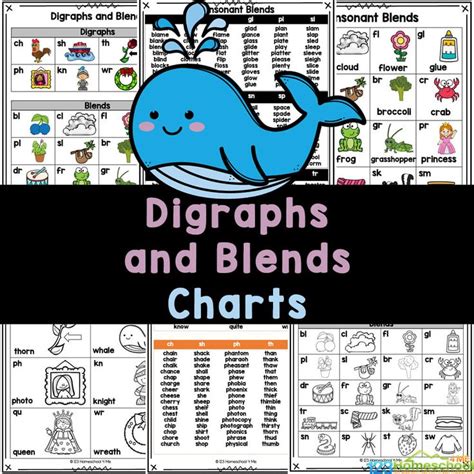 FREE Printable Consonant Blends and Digraphs Chart | Blends and digraphs, Digraphs chart ...
