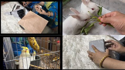 এমন ভালোবাসা পাবো ভাবতে পারিনি আলহামদুলিল্লাহ Youtube