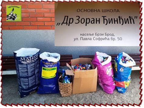 Почетна Основна школа Др Зоран Ђинђић