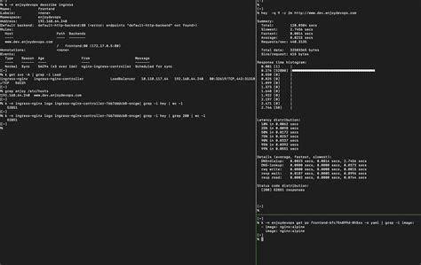 nginx ingress occasional 503 when not so many request issued to server