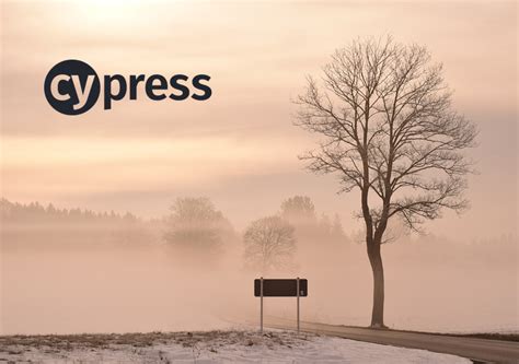 Cypress Un Framework De Pruebas Todo En Uno Paradigma