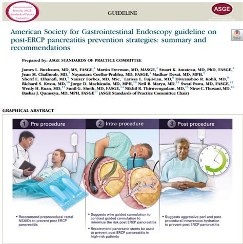 Asge Linee Guida Sulla Prevenzione Della Pancreatite Post Ercp « Medicina In Biblioteca