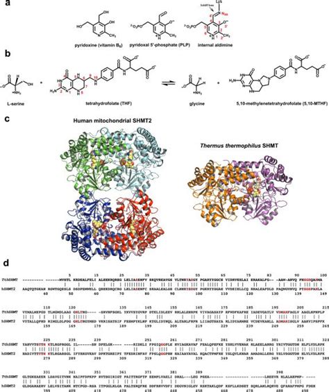 Juan Caceres Torres On Linkedin Revealing Protonation States And