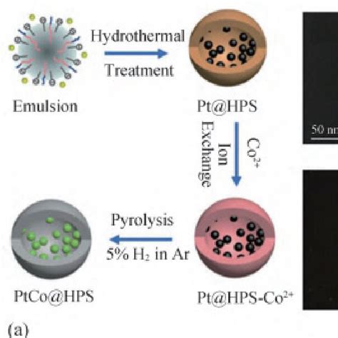A Schematic Illustration Of The Synthesis Of Ptco C Yolk Shell