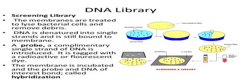 The Importance Of Screening Libraries In Drug Discovery Chemistry