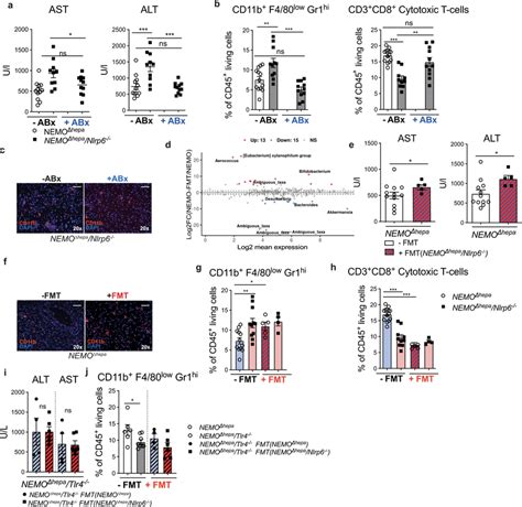Microbiota Modulation Reshapes The Hepatic Inflammatory Download Scientific Diagram