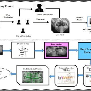 Faster Regionbased Convolutional Neural Networks With You Only Look Once Multistage Caries