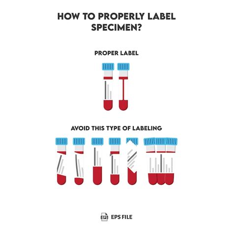 Premium Vector How To Properly Put Label In Specimen In Laboratory Eps File