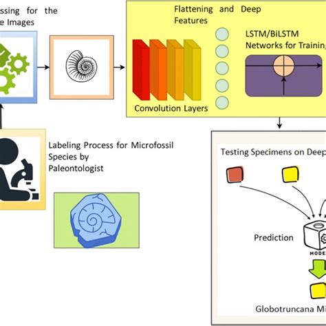 The Schematic Of Bilstm Architecture Download Scientific Diagram