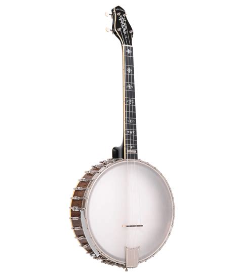 Banjo Cello Organology Musical Instruments Encyclopedia