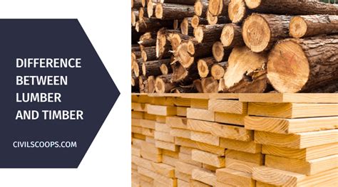 What Is Timber What Is Lumber What Is Lumber Used For Lumber Vs Wood Difference