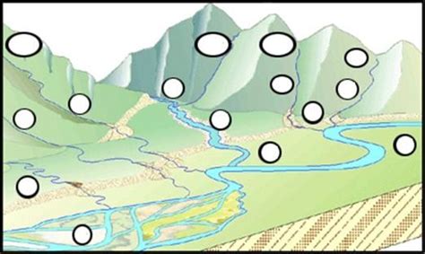 Solved Identify The Stream Level I Classifications Based On