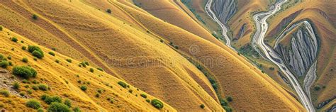 Stunning Visual Representations Of Medical And Scientific Data Diagrams Charts And Schematics