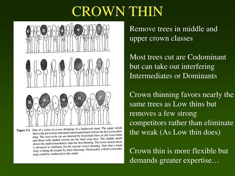 Ppt Forestry Envirothon Powerpoint Presentation Free Download Id