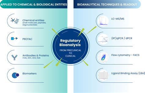 Bioanalytical Services Drug Discovery Cro