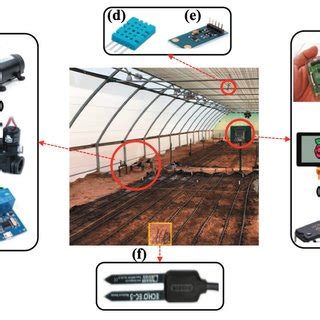 Representative Elements And Sensors Used In The Experiment Raspberry Download Scientific
