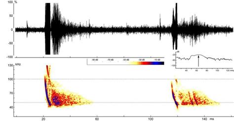 Oscillogram Spectrogram And Spectral Density Diagram Of A Fragment Of Download Scientific