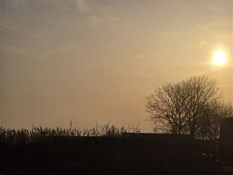 ⛔️ In Principle We Do Not Need An International Womens Day ️ ️ We Need 365 Days Of Human