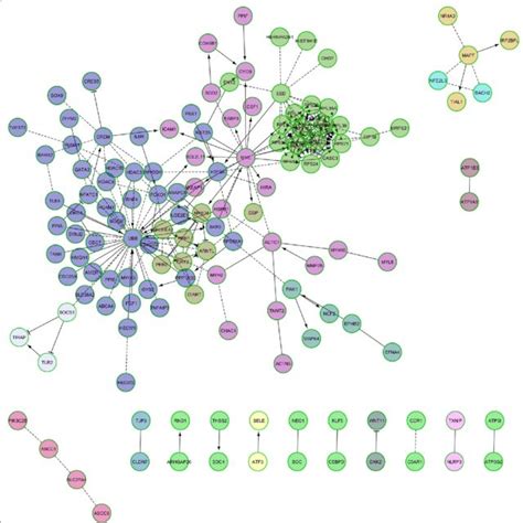 Reactome Functional Interaction Network Corresponding To 148 Genes That