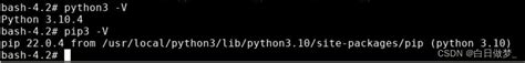 centos安装python3 10的教程 python 脚本之家