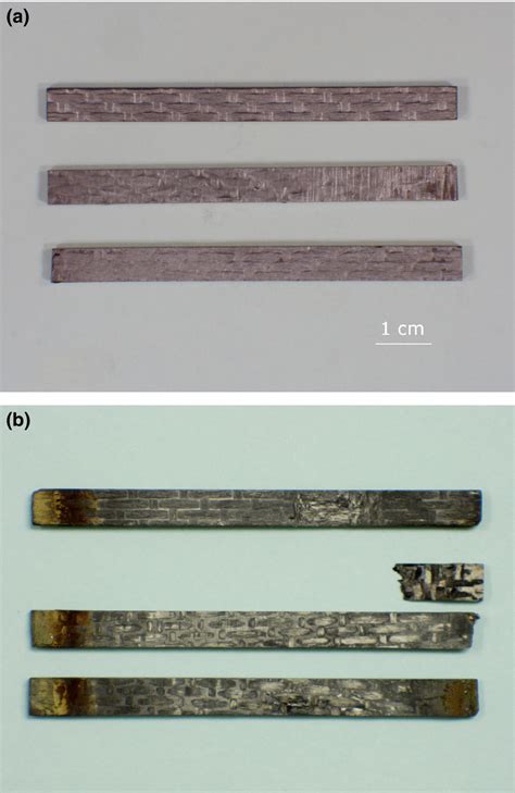 Macrophotographs Of Composite Specimens Before Left And After 151 H