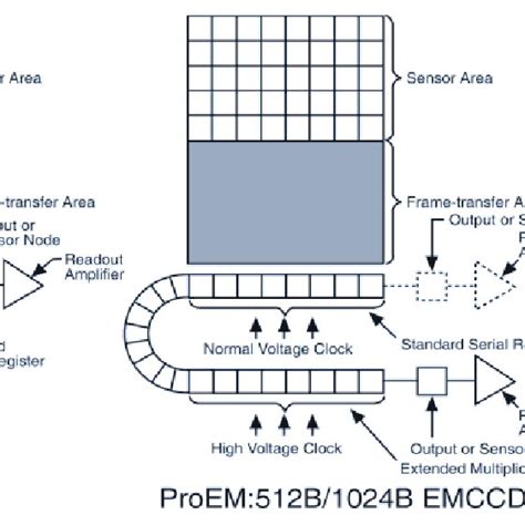 Comparison Of Traditional Ccd And Proem Emccd Array Structures Credit