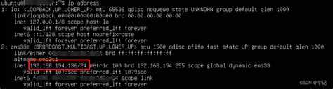 ubuntu通过命令行设置静态ip或者动态ip ubuntu命令行配置ip地址 csdn博客