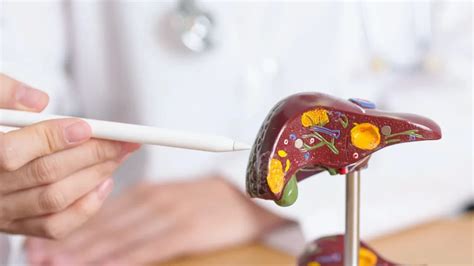 Enzimas Hepáticas Cig