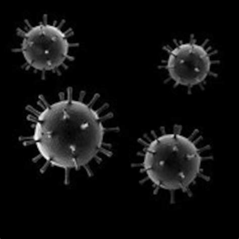Lncrna Of Pediatric Sars Cov 2 Kaggle