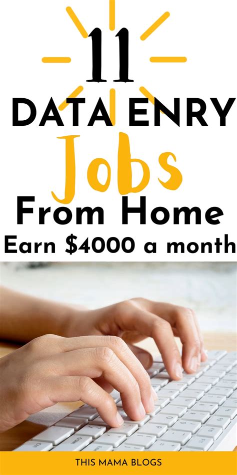 what do data entry jobs look like at nathan brodzky blog