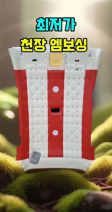 엠보싱 천장 5만원 스타렉스 10만원대 캠핑카 Automobile 캠핑카 Offroad 차박 낚시 Youtube