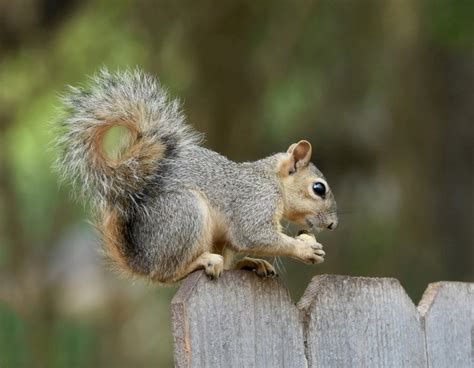 Top Interview Questions And Answers For Frontend Development Internship Blog