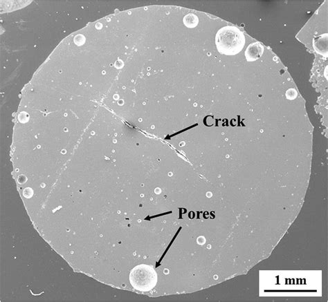 Defects Distribution In The Cross Section Of A Cylindrical Sample