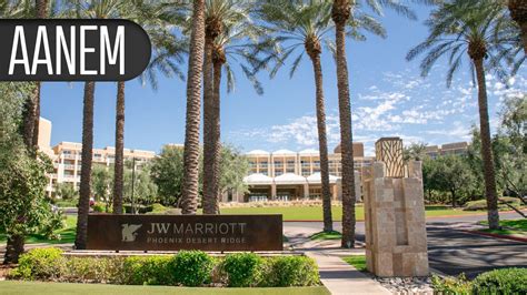 Rozanolixizumab Maintains Efficacy Among Generalized Myasthenia Gravis Subgroups Medical News