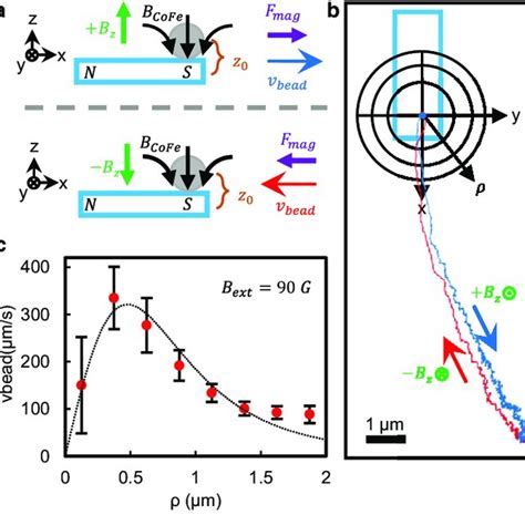 Trap Calibration A A Schematic Of The Bead Launch Experiment At A