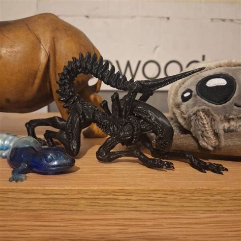 Gpu Display Stand Gpu Holder Gpu Decor Etsy Gpu Display Stand Gpu Holder Gpu Decor Etsy