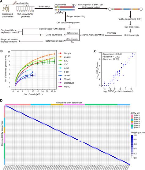 Figure 1 From Single Cell Analysis Of Isoform Switching And