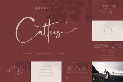 the elegant script font bundle craft supply co