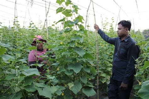 ការប្រលងជ្រើសរើសមន្ត្រីជំនាញកសិកម្មឃុំ សង្កាត់ នឹងផ្តល់អាទិភាពជូនដល់និស្សិតកសិកម្ម