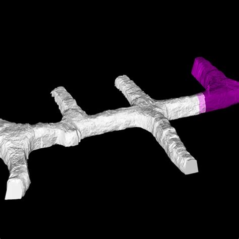 Maptek Pointstudio Triangulation Analysis