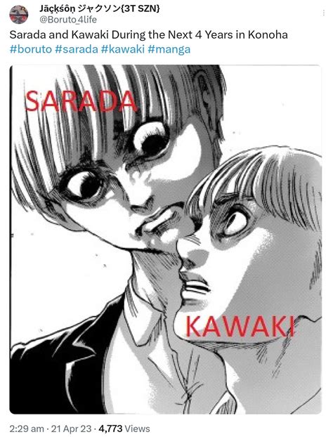 New Saradakawaki Meme Rboruto