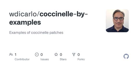Github Wdicarlococcinelle By Examples Examples Of Coccinelle Patches