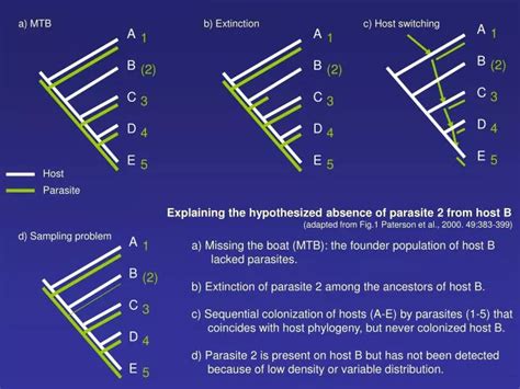 PPT Host PowerPoint Presentation Free Download ID 6528910