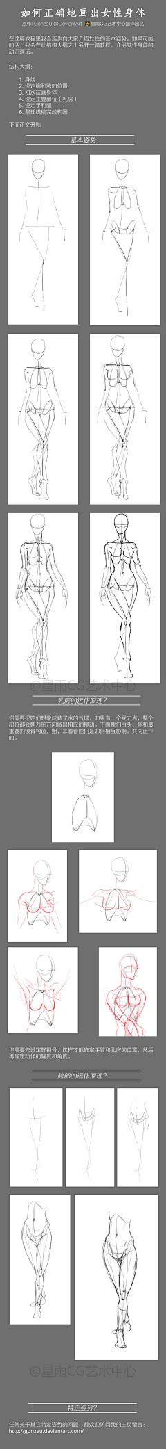 连图 花瓣网陪你做生活的设计师 女人体、结构、动态、站、胯部