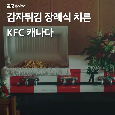 더쿠 Kfc 감자튀김 장례식 생방송 중계