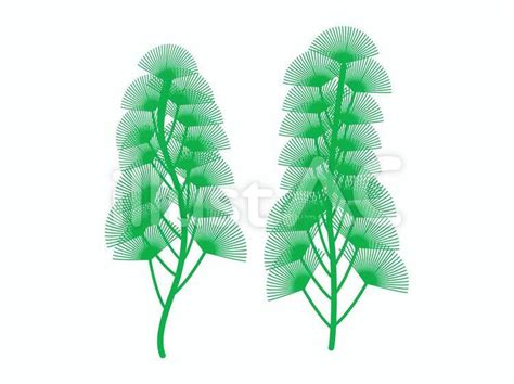 水草イラスト No 80806／無料イラストなら「イラストac」