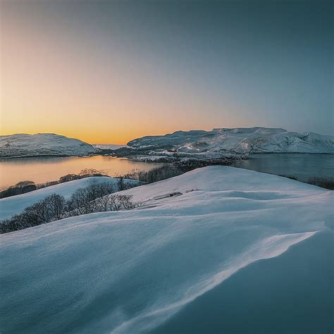 Beyond Basic Ml Decision Trees Ensembles And Clustering Explained With